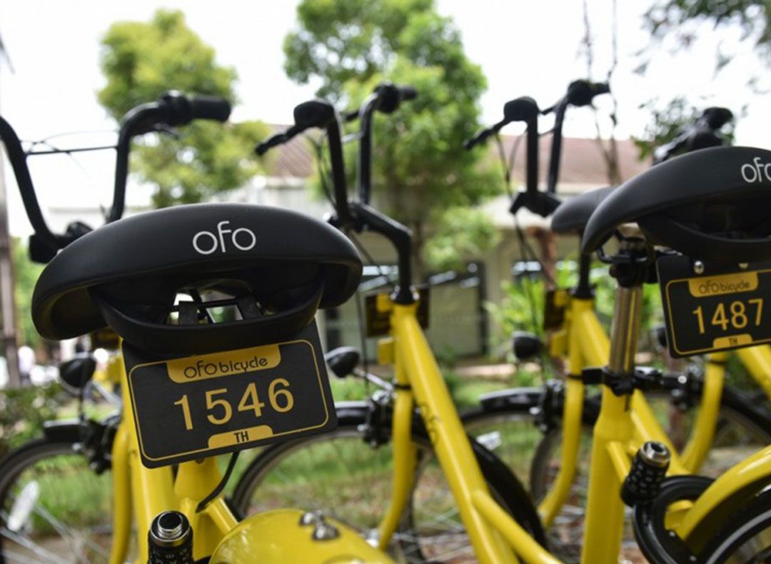 [ofo] PR Manager, Hong Kong 채용 공고 | 원티드