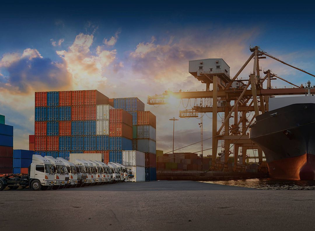 [싸이버로지텍] 해운선사용 IT솔루션 (Allegro) 개발 및 운영 채용 공고 | 원티드